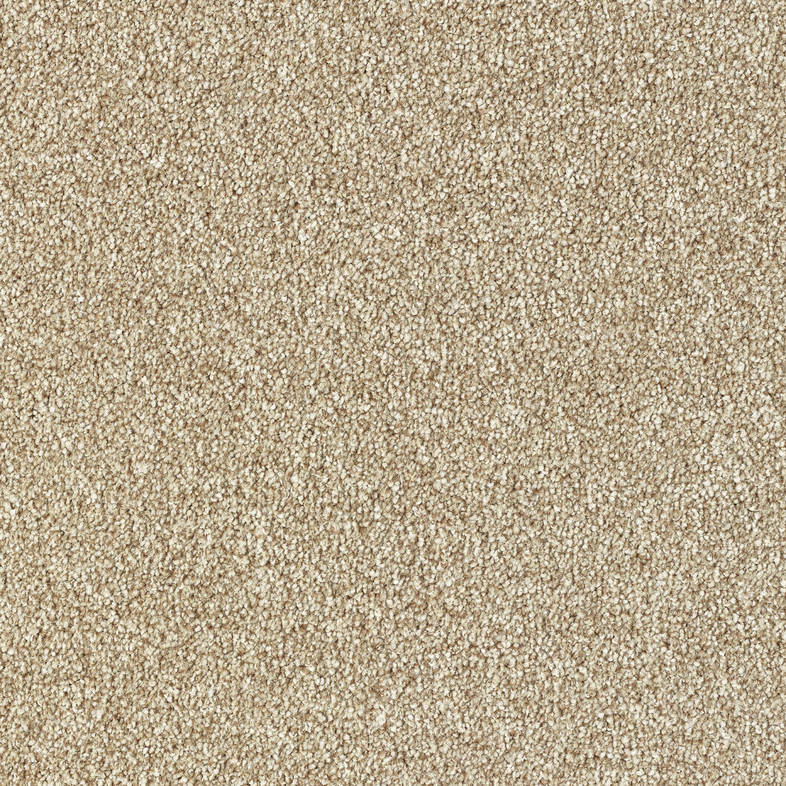 Stainfree Rustique - Taqwa Carpets