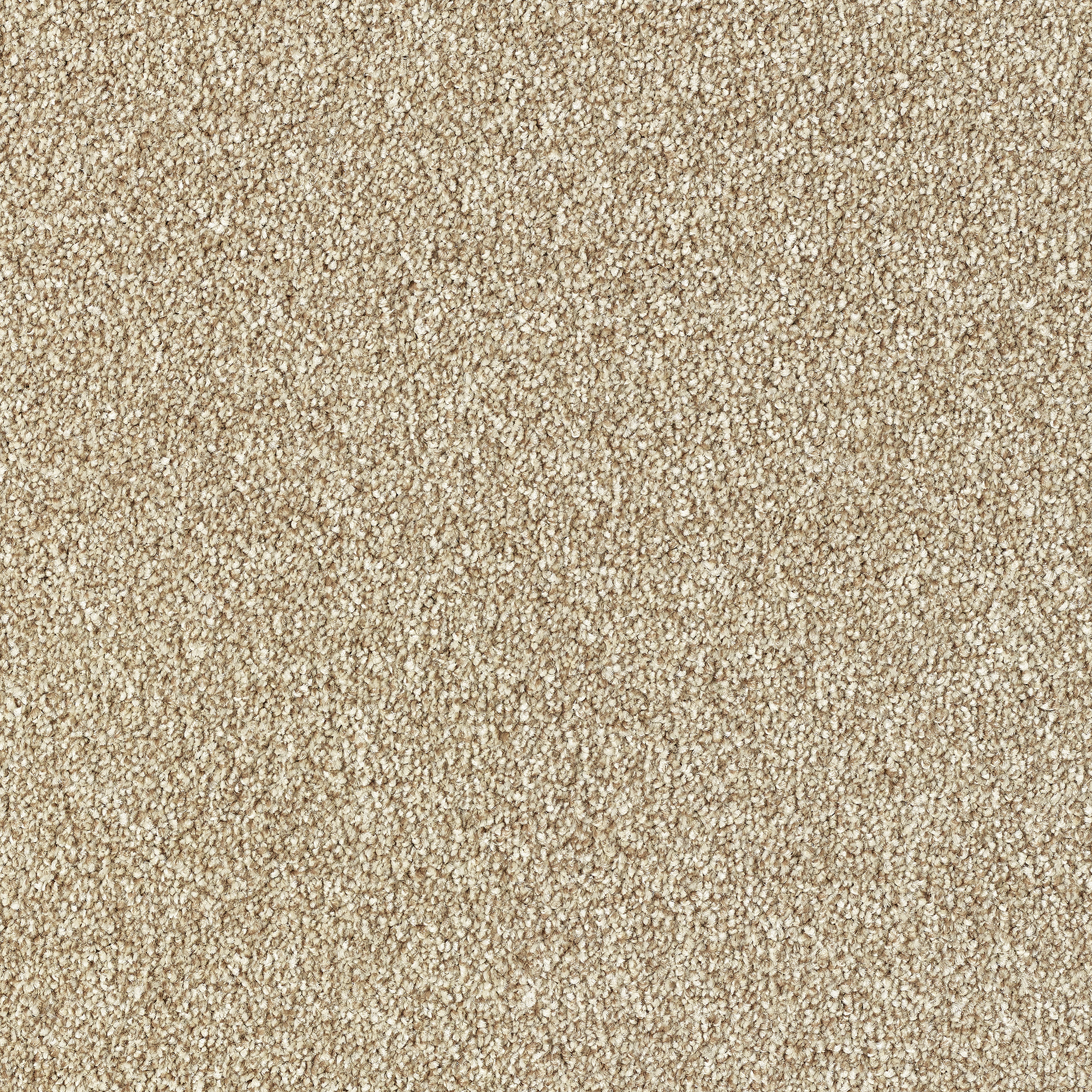 Stainfree Rustique - Taqwa Carpets